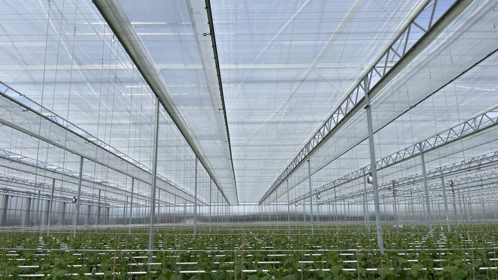 Horizontal screens - PDI Screen Systems